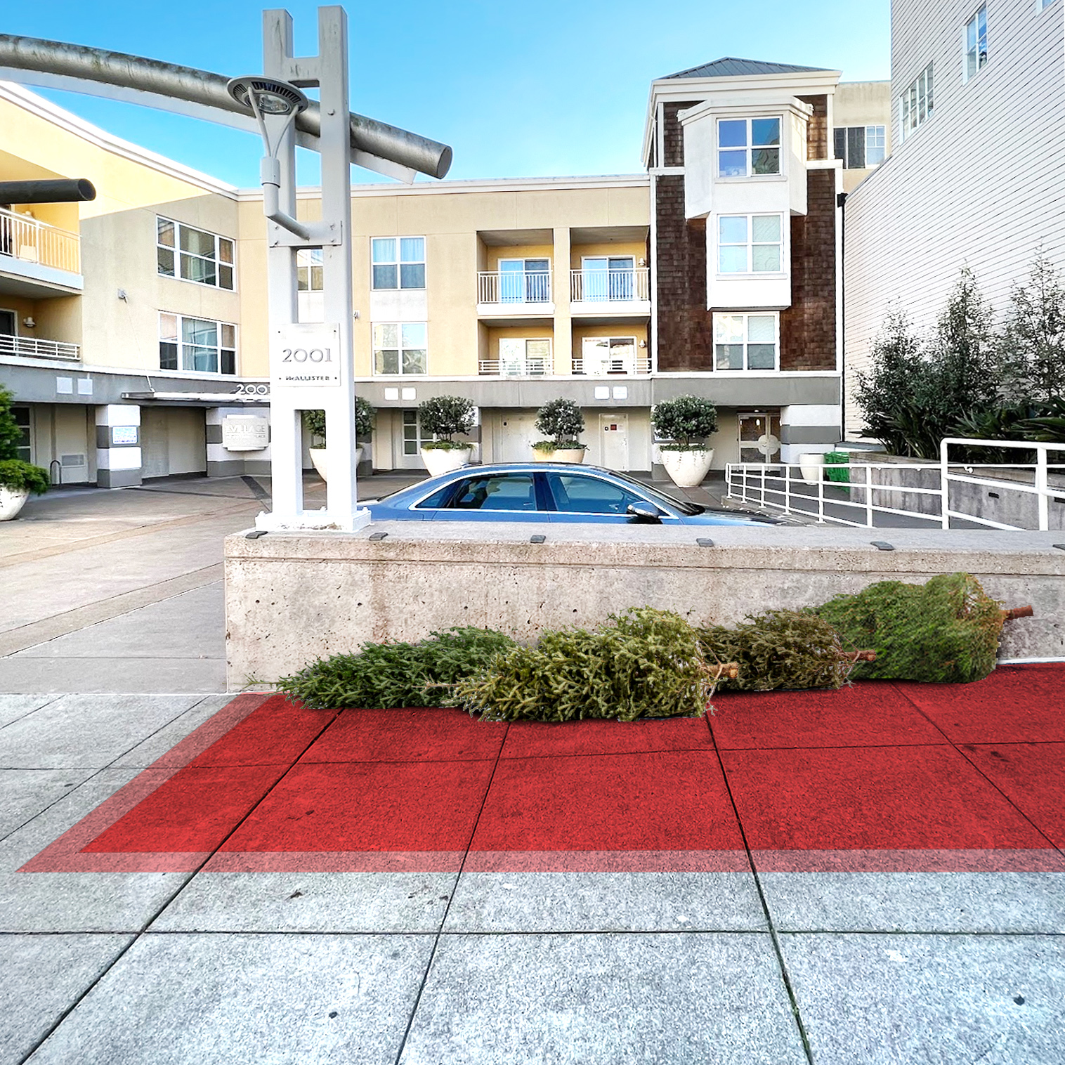 HOLIDAY HOURS & CHRISTMAS TREES | The Village at Petrini Place